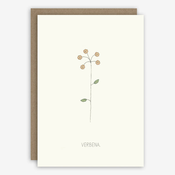 Beth Mueller: Box of Greeting Cards: Flowers, Garden - Helen Winnemore's